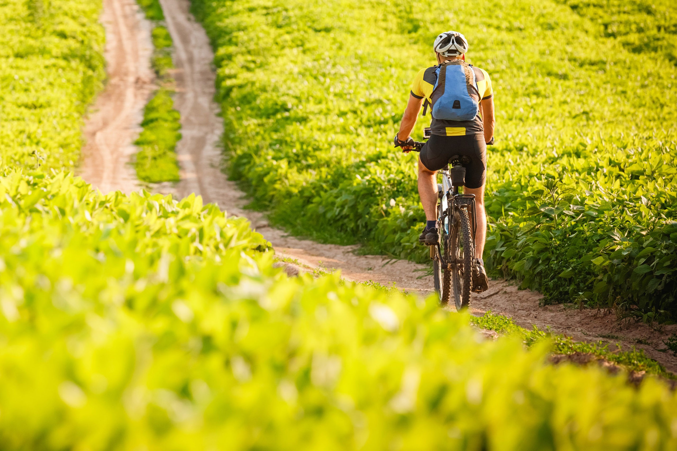 Jaro a jízda na kole jsou perfektní kombinace! Tipy, jak se vrátit do sedla